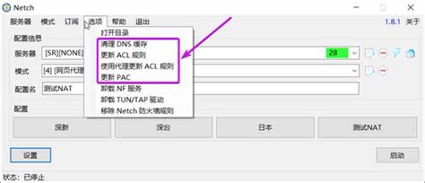 最新netch使用教程，一键连接秒所有