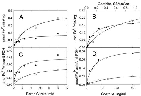 Effect Of Ferric Citrate And Goethite Concentration On Ferric Reductase Download Scientific