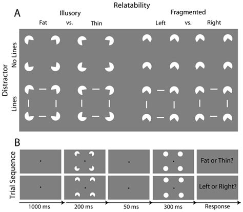 Stimuli And Trial Sequence Download Scientific Diagram