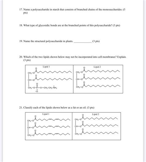 Solved Name A Polysaccharide In Starch That Consists Of Chegg