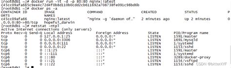 Docker 创建nginx容器无法访问docker 安装nginx 访问nginx无法访问 Csdn博客
