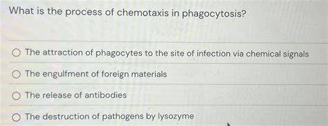 Solved What Is The Process Of Chemotaxis In Phagocytosisthe