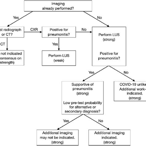 Recommended Algorithm On LUS In The Assessment Of Medical Inpatients Download Scientific