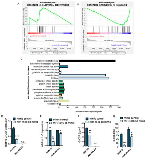 Non Coding Rna An Open Access Journal From Mdpi