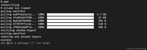 使用 Elastic Elser 和 Llama3 的 Rag（使用 Langchain）langchain Llama3 Rag Csdn博客