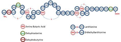 Primary Structure Of Nisin Download Scientific Diagram