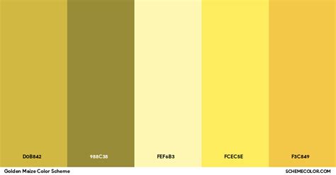 Color Maize