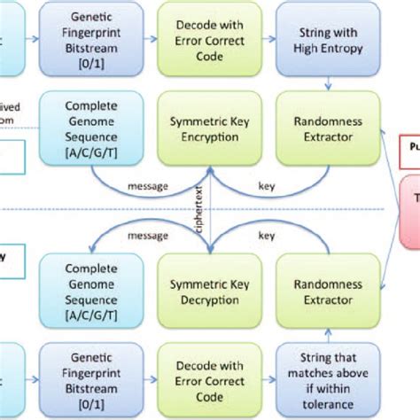 Cryptographic Architecture The Shared Symmetric Key Is Derived From