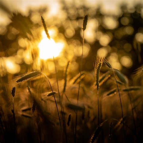 Chase Mullins Songs List Genres Analysis And Similar Artists Chosic