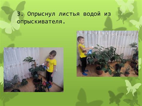 Практическая работа «Учимся ухаживать за комнатными растениями презентация онлайн