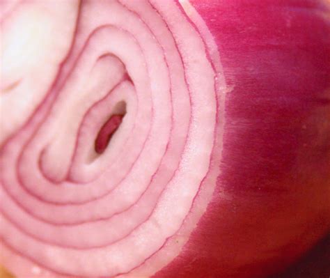 Pane E Cipolla Pappy In The Kitchen