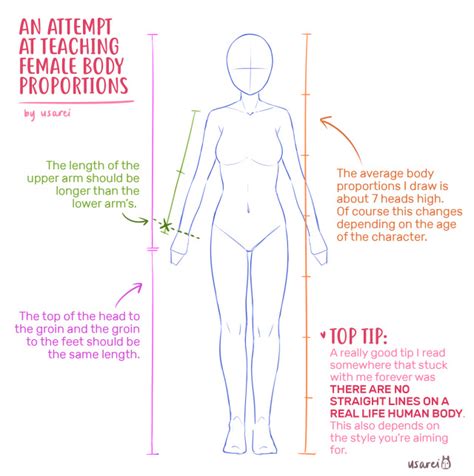 Could You Do An Anatomy Tutorial Please The Way You Draw Anatomy Is Perfect Oml Skiny