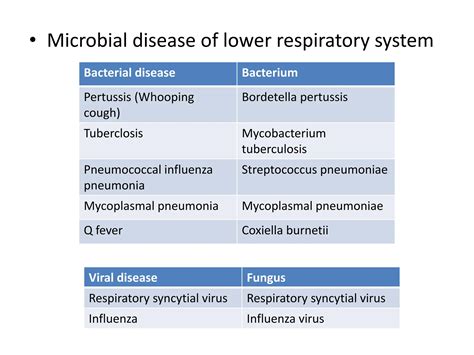 Pathogenesis And Common Diseases Presentation Pptx