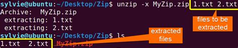 The Unzip Command In Linux Practical Examples