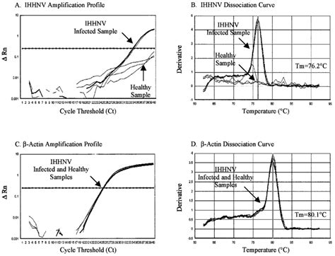 Amplification Profiles A And C And Dissociation Curves B And D Of