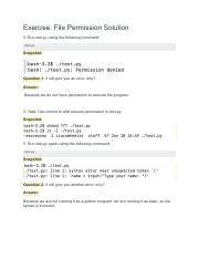 Troubleshooting File Permissions How To Fix Execution Errors Course Hero