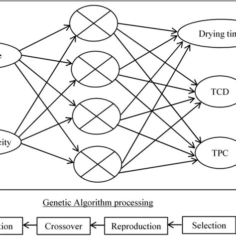 schematic illustration of multi‐layered feed forward artificial neural