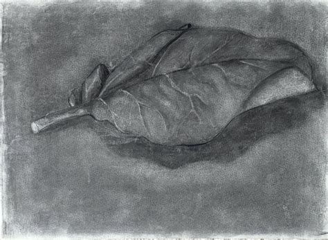 Reductive Leaf Jay Goodwin