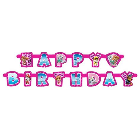 Paw Patrol Skye Everest Birthday Party Banner Decorations Eur 860