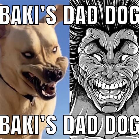 Bakis Dad Dog Rgrapplerbaki