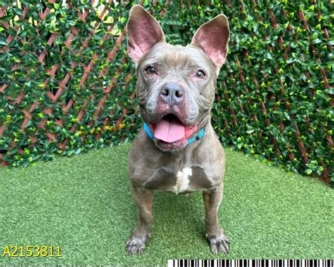 Lauren E Posted On Linkedin