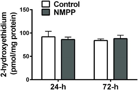 Vascular Superoxide Production Indicated By 2 Hydroxyethidium Levels