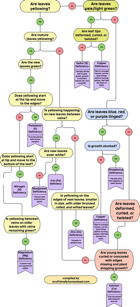 Signs Of Plant Nutrient Deficiencies
