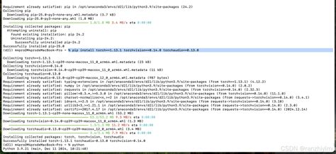 动手学深度学习 m4pro芯片gpu配置，d2l包导入会出现问题 pytorch m4芯片 csdn博客
