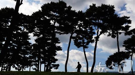 [오늘의 날씨] 강원 2일 수 …기온 뚝 낮 최고 20도 안팎 ‘쌀쌀 뉴스1