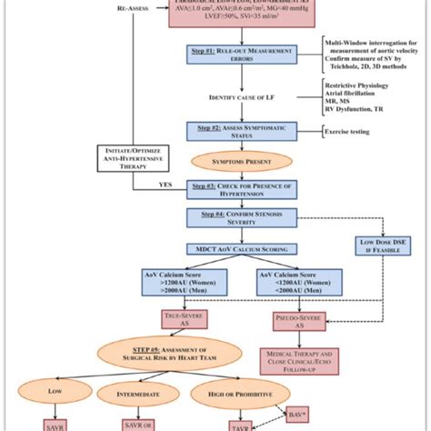 Decision Making Algorithm For As As Aortic Stenosis Avr Aortic