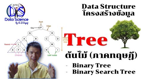 โครงสร้างต้นไม้ Tree Binary Tree การท่องต้นไม้แบบ Preorder Inorder และ