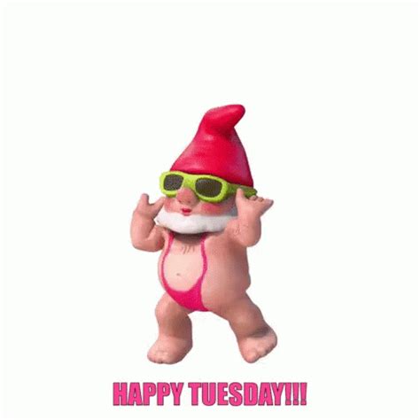 Happy Tuesday Gnome  Happytuesday Gnome Dance Discover And Share S