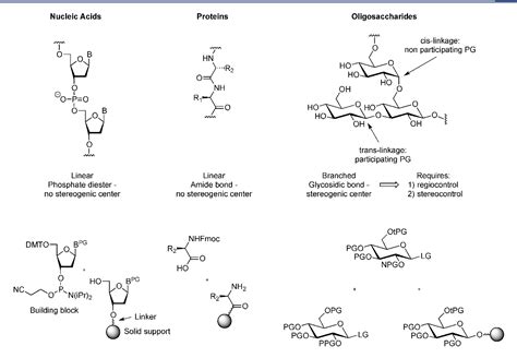 Figure 1 From The Logic Of Automated Glycan Assembly Semantic Scholar