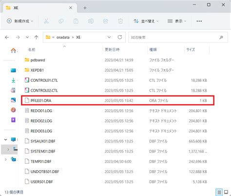 oracle 無償版 xe 21c spfileからpfileへの変更 自分で改善