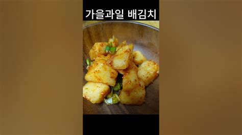 자급자족진심인편배김치한국식샐러드소원이룬시골생활제철과일가을과일shorts Youtube