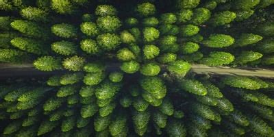 Benefits Of GIS Mapping