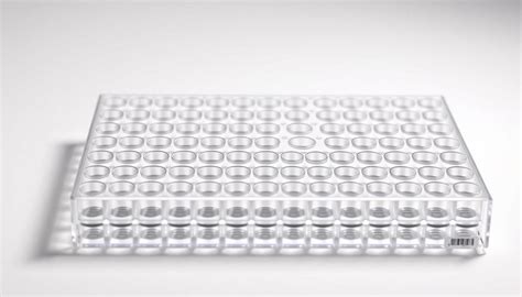 Conical Flask Description Essential Lab Glassware Guide Ucallmlabs