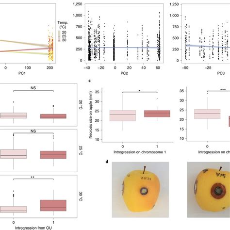 Hybridization And Introgression Have A Strong Impact On Growth Rate And Download Scientific