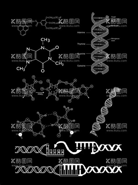 Dna图 源文件下载【酷图网】分子式 化学 科技 细胞 分层 花瓣网