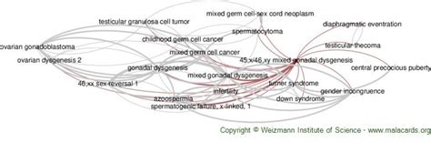45x46xy Mixed Gonadal Dysgenesis Disease Malacards Research