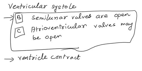 Solved Which Of These Occurs During Atrial Systole Group Of Answer Choices The Semilunar