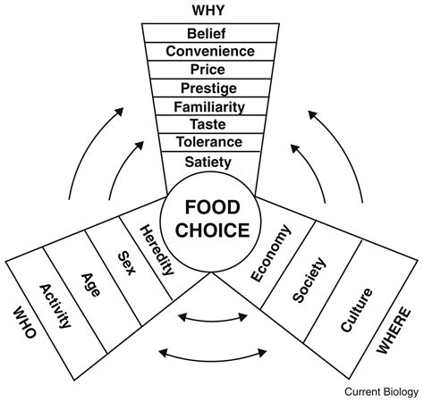 What Is Food Preference Meaning At Tim Long Blog
