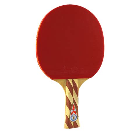 راکت پینگ پونگ مناسب برای تمرین و مسابقه