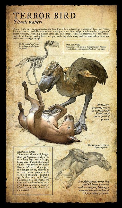 Titanis Carnivores Ice Age