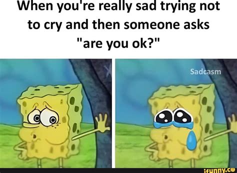 Sad Ok Meme