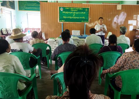 ချောင်းဦးမြို့နယ်တွင် ချည်မျှင်ရှည်ဝါမျိုးစေ့ထုတ် နည်းပညာပေးသင်တန်းဖွင့