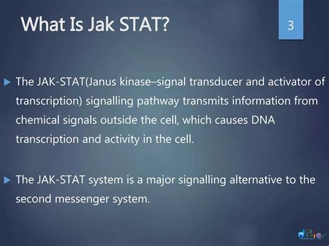 Jak Stat Signalling Pathway Pptx