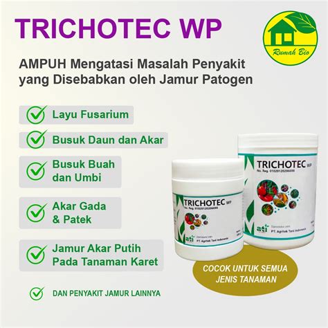Jual Fungisida Trichoderma Pembasmi Penyakit Jamur Pada Tanaman