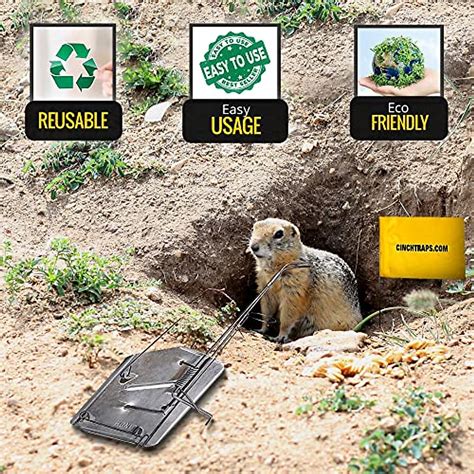 Cinch Gopher Trap Kit Small 1 Pack Heavy Duty Reusable Rodent Trapping System Weather